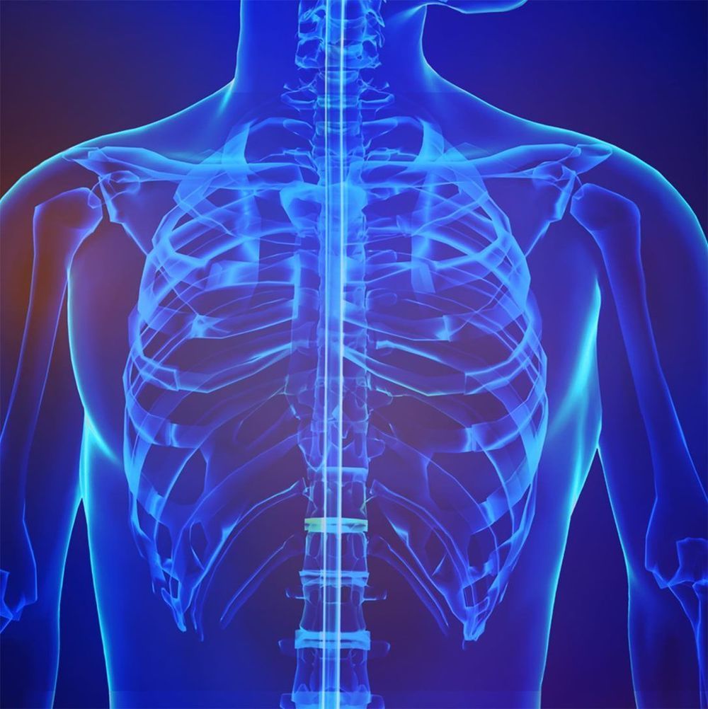 The Strength Of Human Bones